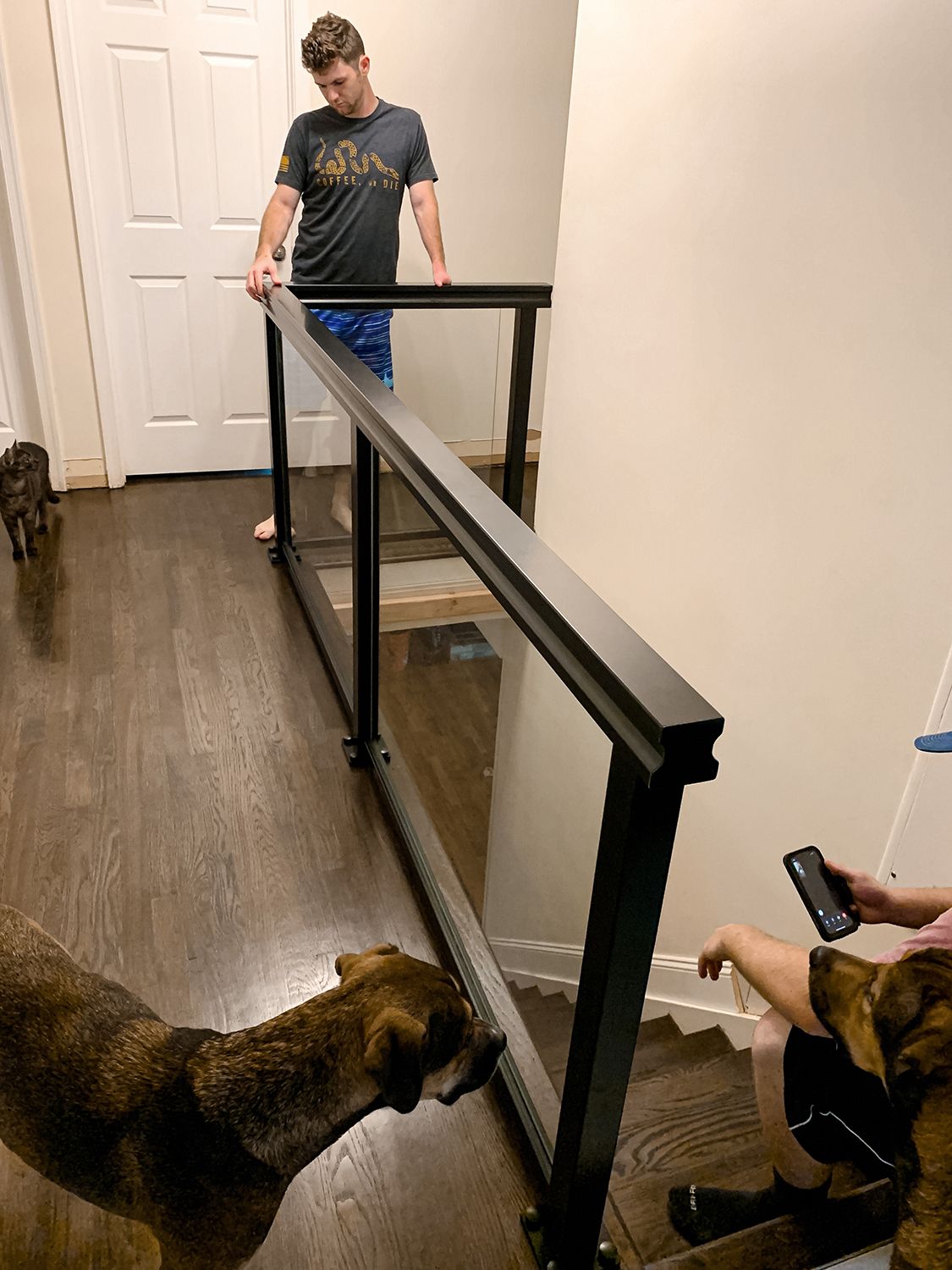 Black Solid Glass Railing - Manassas, VA - Glass Railing for Decks